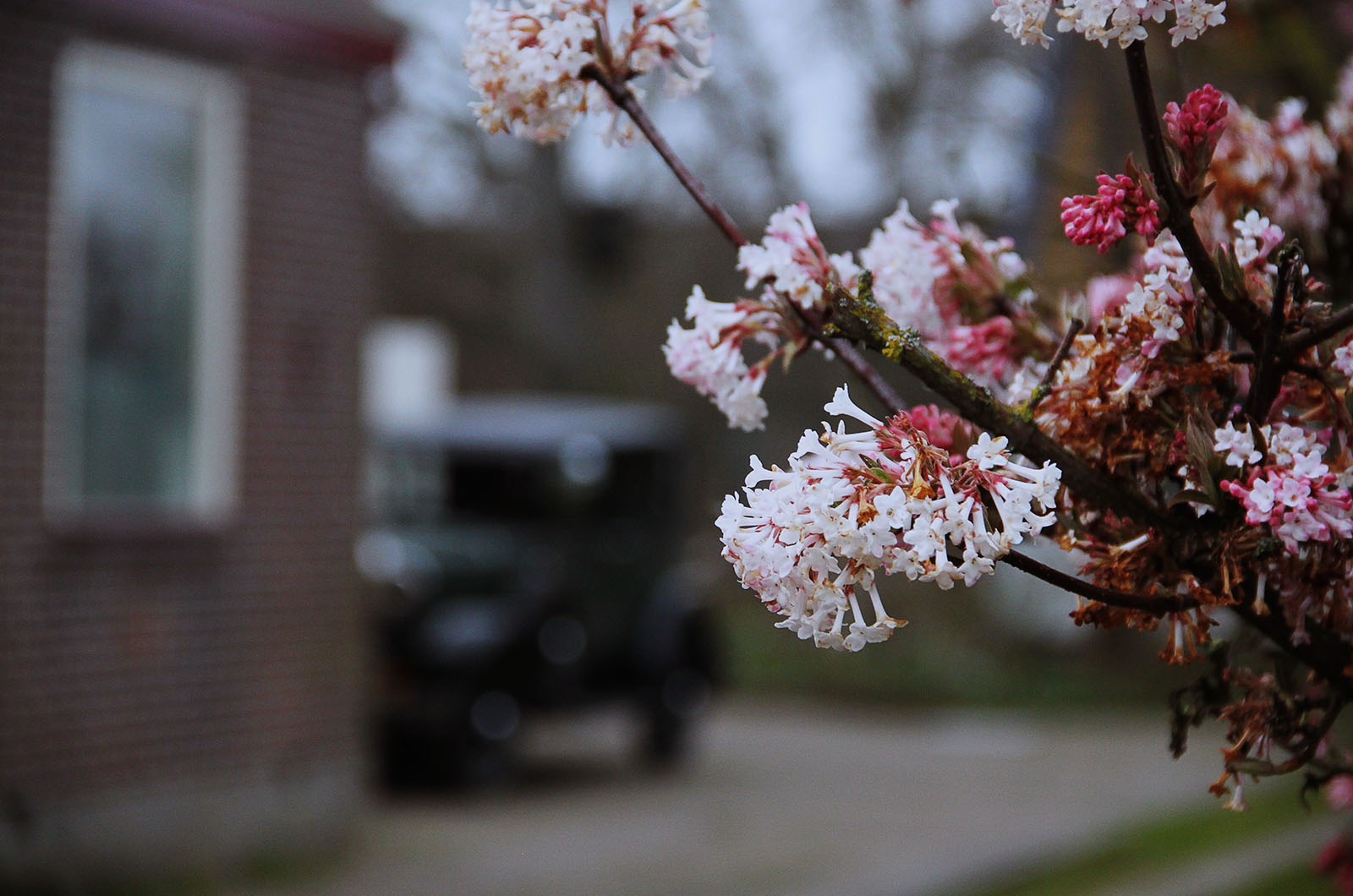Erfpacht op een huis: Wanneer heb ik hier mee te maken?